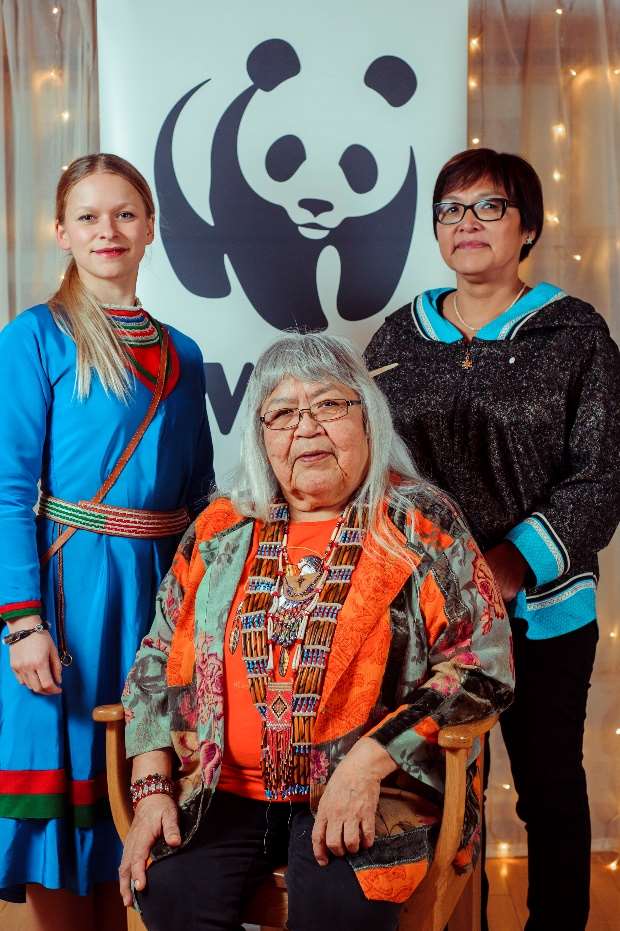 Arctic Voices (Part of the Portcullis Polar Series)